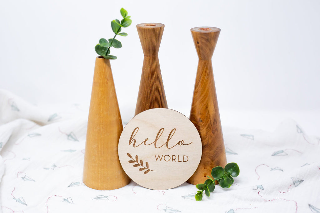 Hello World Plaque Set (13) - Leaf Double Sided - Baby Milestones | Pe ...